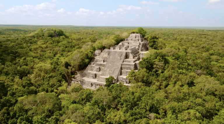 Rise and fall of the Mayas - Soazic Veillon